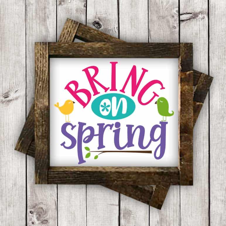 Bring on Spring - Burton Avenue