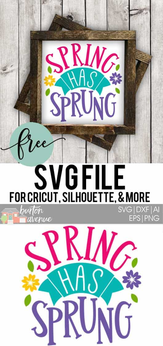Free SVG Cut File - Spring has Sprung - Burton Avenue