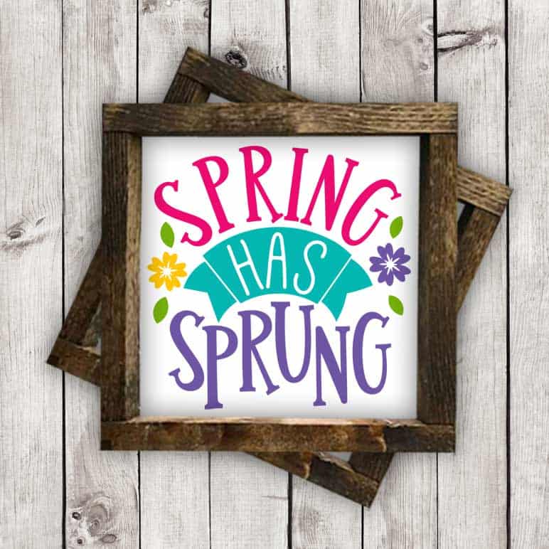 Free SVG Cut File - Spring has Sprung - Burton Avenue