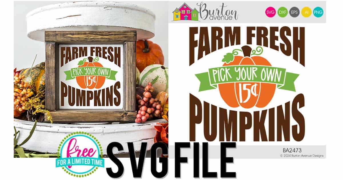 Farm-Fresh-Pumpkins-fb - Burton Avenue