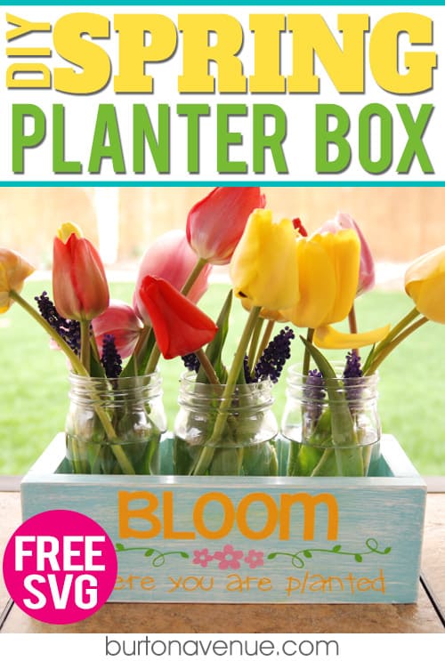 Spring Planter Box - Burton Avenue
