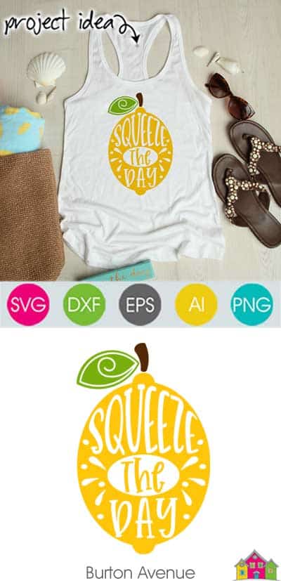 Squeeze-the-Day-Pin - Burton Avenue